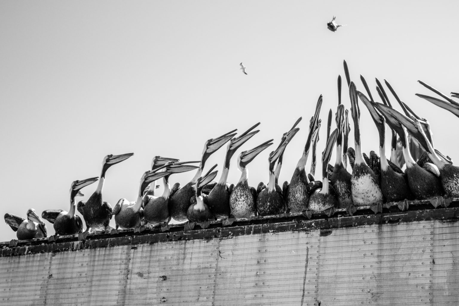 Éléonore Simon. La fotografía de calle como ejercicio de introspección ...